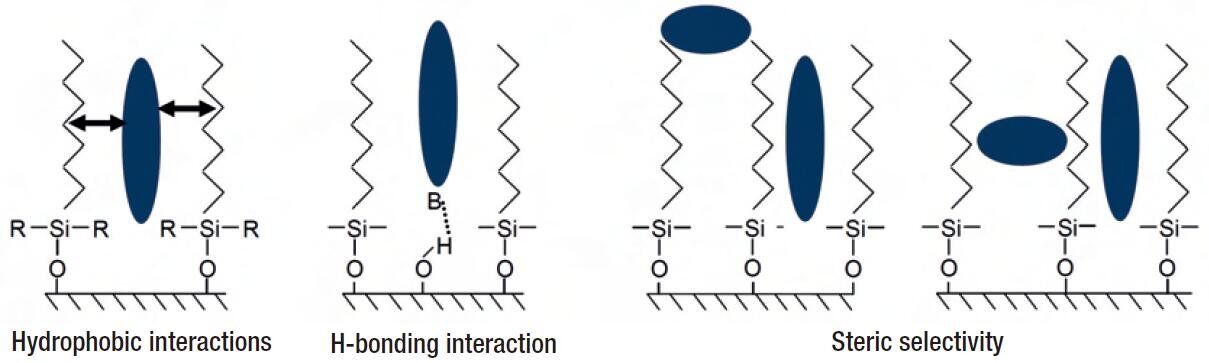 How to choose reversed-phase HPLC column C18, C8, C4 How to choose reversed-phase HPLC column C18, C8, C4